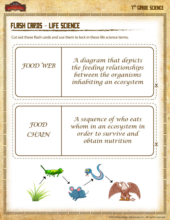 Free 7th Grade Life Science Worksheets - Scienceworksheets.net Free 7th Grade Life Science Worksheets - Scienceworksheets.net