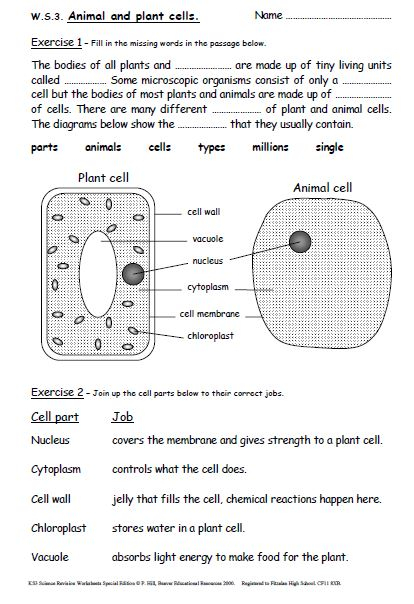 Year 7 Science Worksheets Year 7 Worksheets 2019 03 03 ... Year 7 Science Worksheets Year 7 Worksheets 2019 03 03 ...