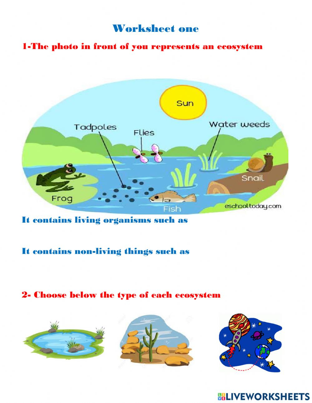 Second Grade Science Ecosystems Worksheets - Scienceworksheets.net Second Grade Science Ecosystems Worksheets - Scienceworksheets.net