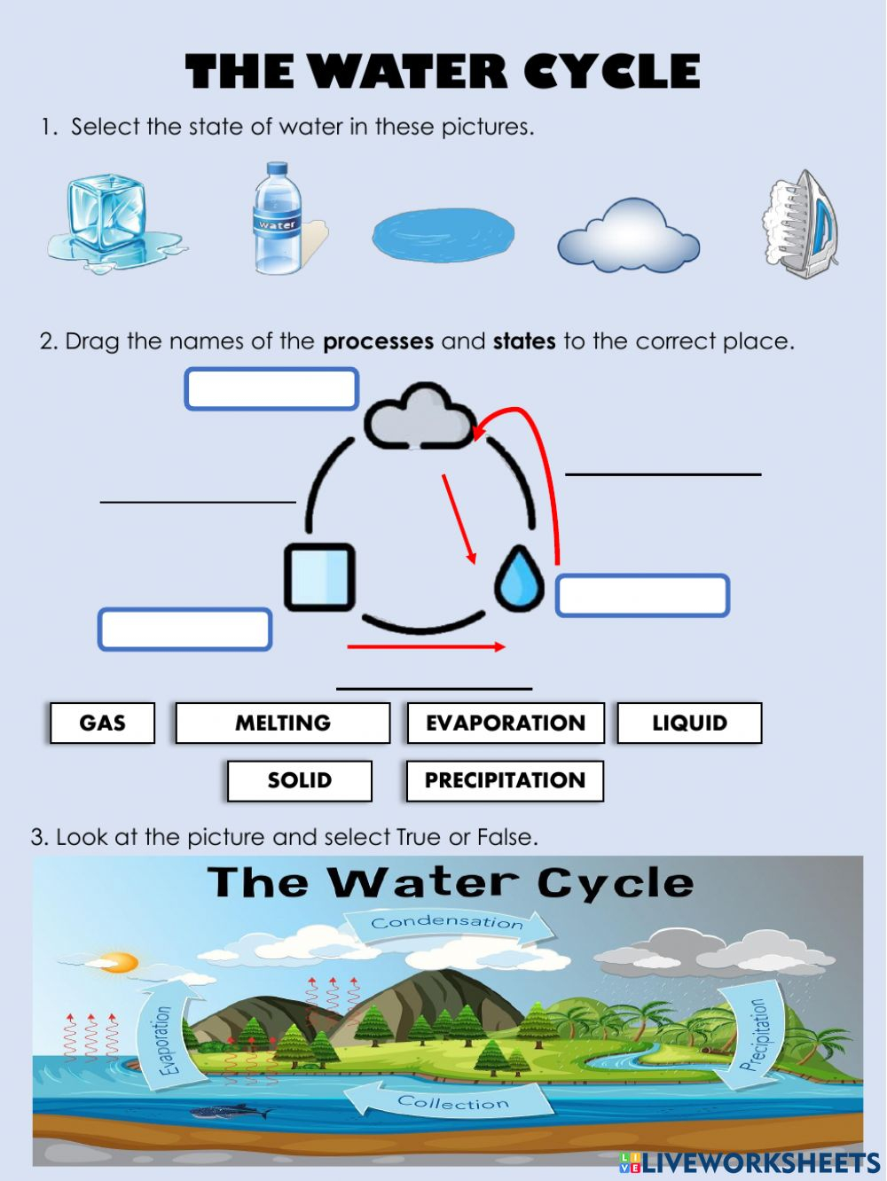 5th Grade Science Water Cycle Worksheets - Scienceworksheets.net 5th Grade Science Water Cycle Worksheets - Scienceworksheets.net