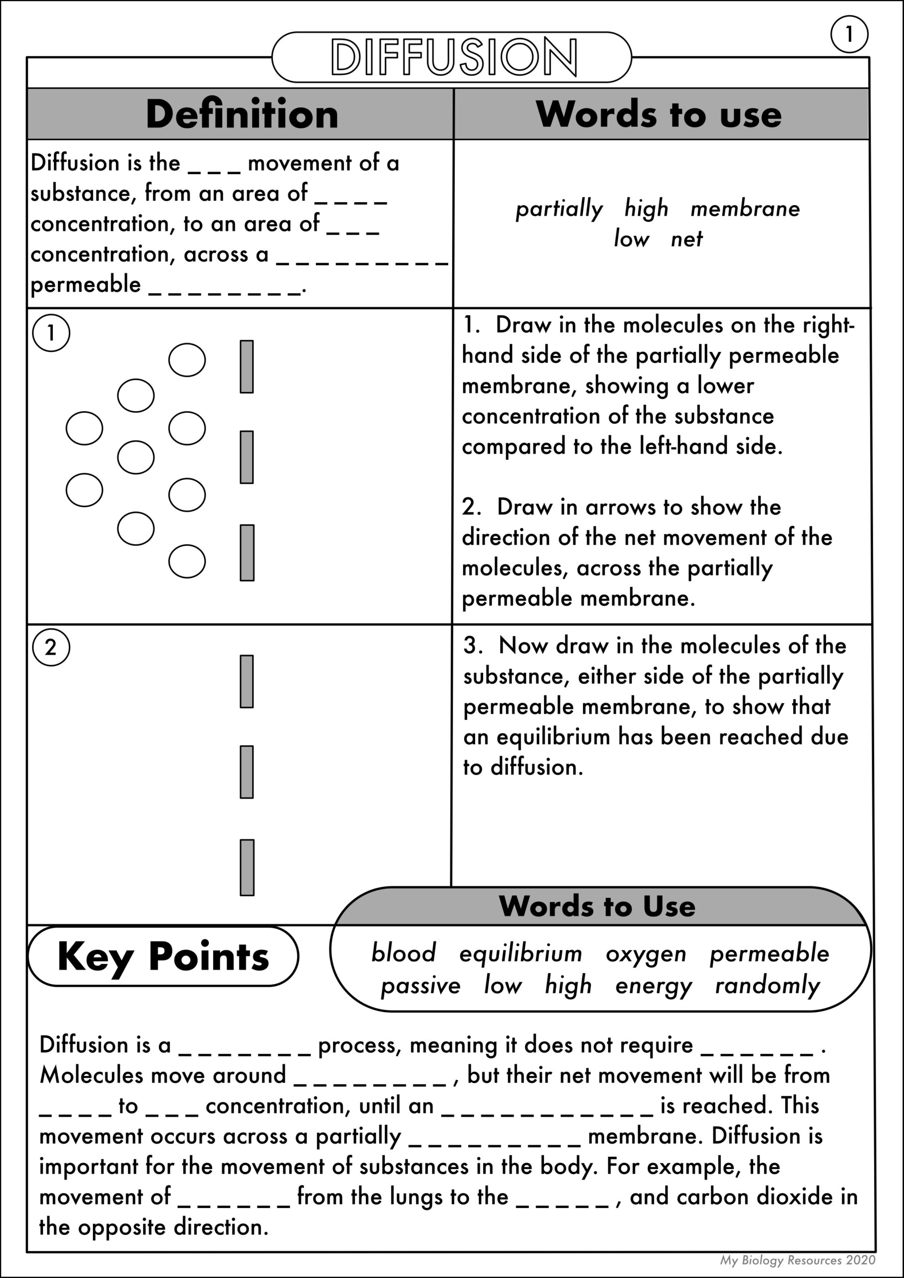 Gcse Science Biology Worksheet Answers - Scienceworksheets.net Gcse Science Biology Worksheet Answers - Scienceworksheets.net
